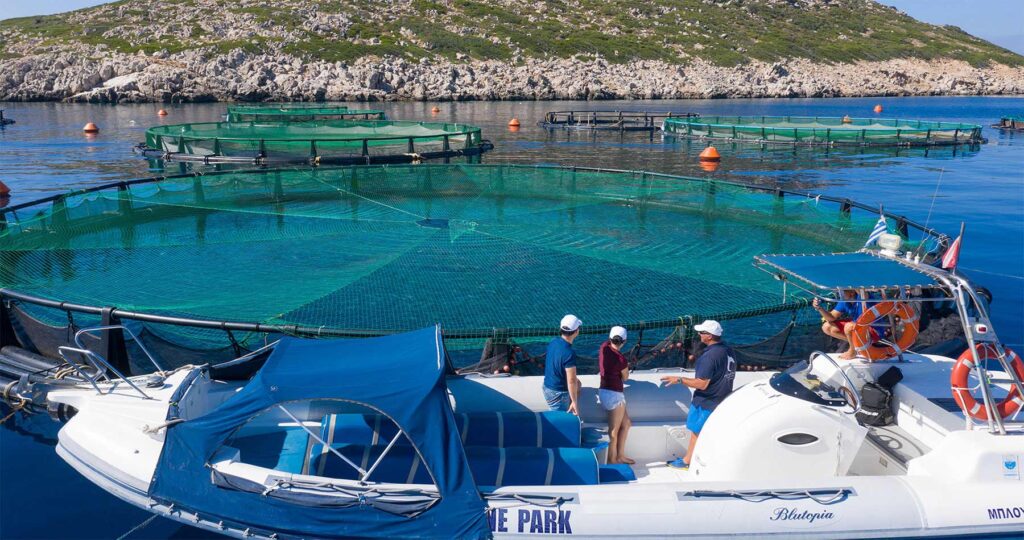 blutopia – Rhodes Experiences